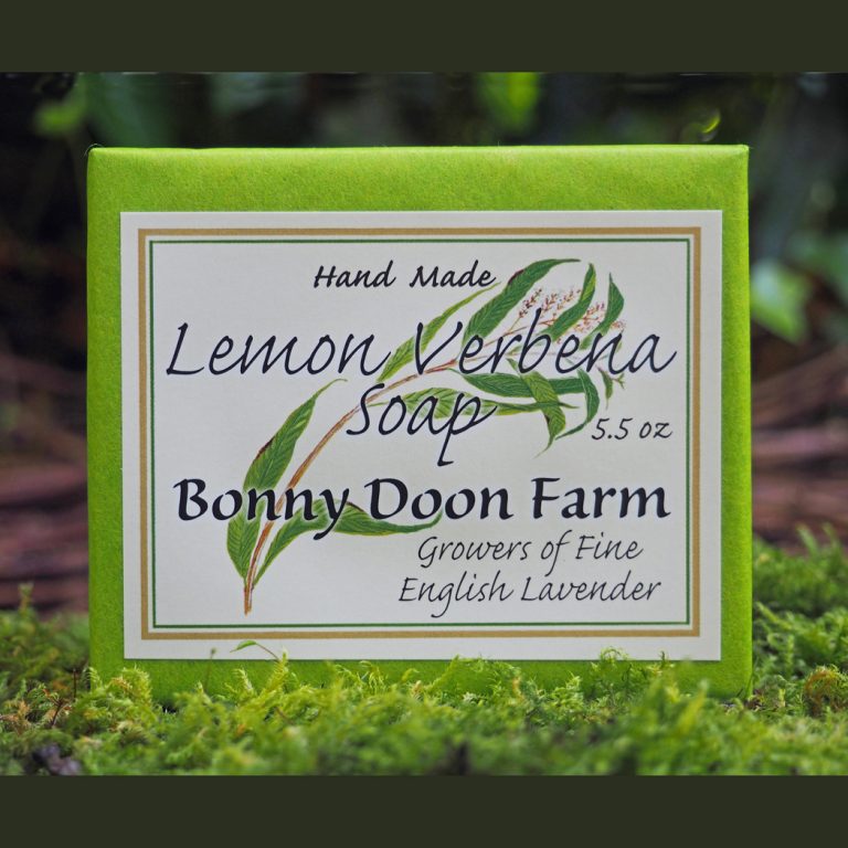 Bonny Doon Farm – Bonny Doon Lavender Farm